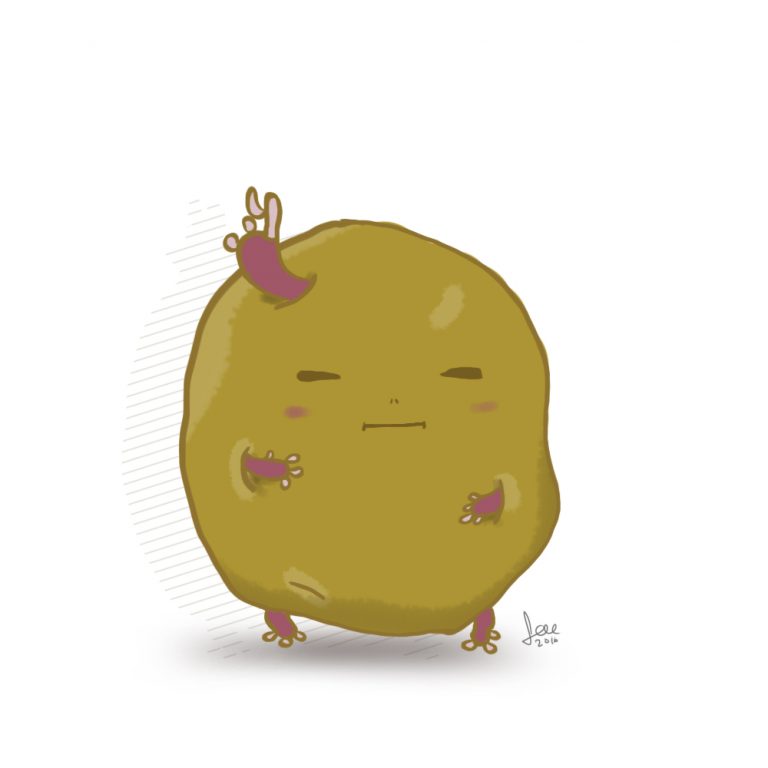 Potato Man – S A E // S H I G E T O